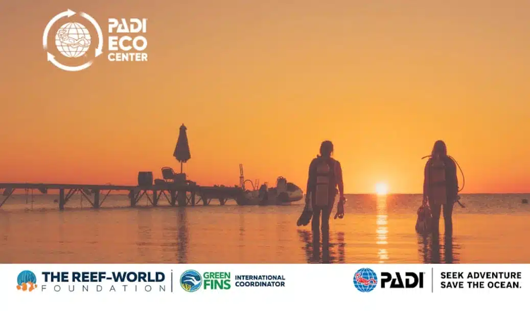 Dive Ninja Becomes First PADI Eco Center in Mexico