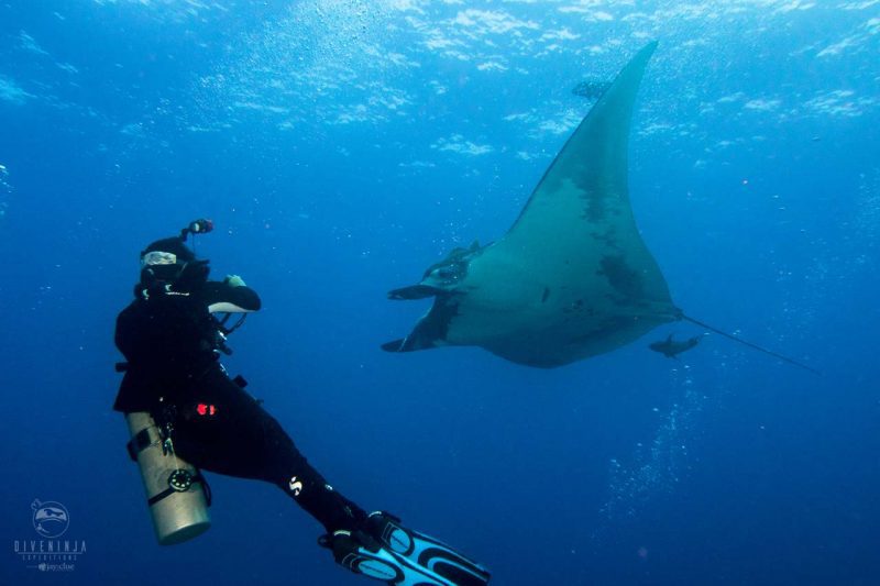 Socorro Manta Research 2018 Trip Report