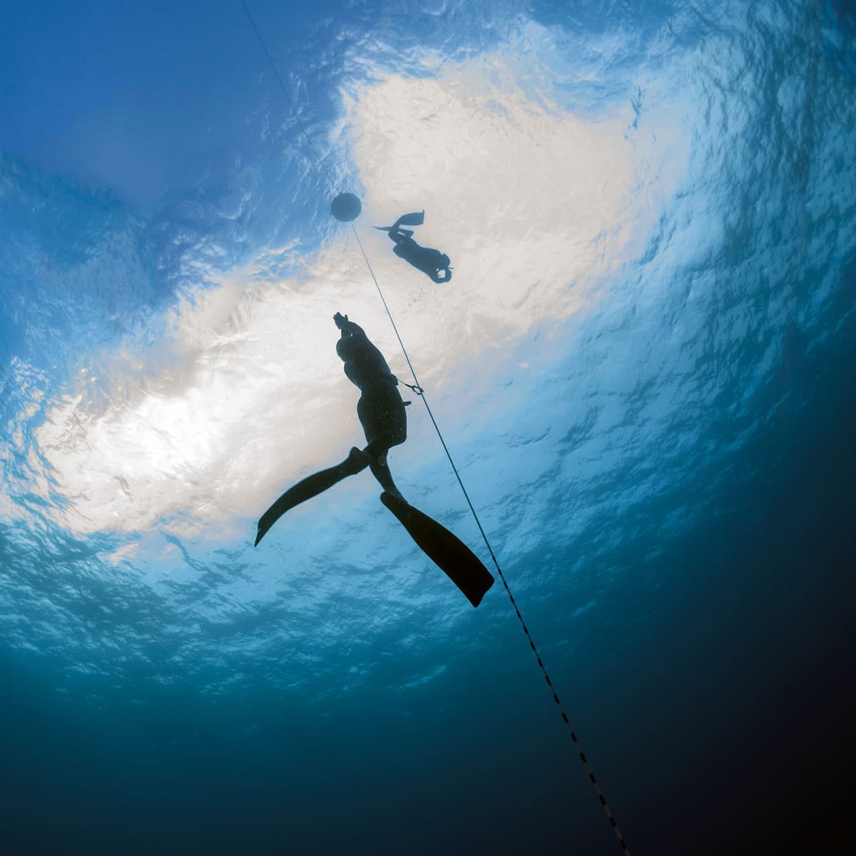 Freediving Courses & Tours in Cabo San Lucas, Mexico