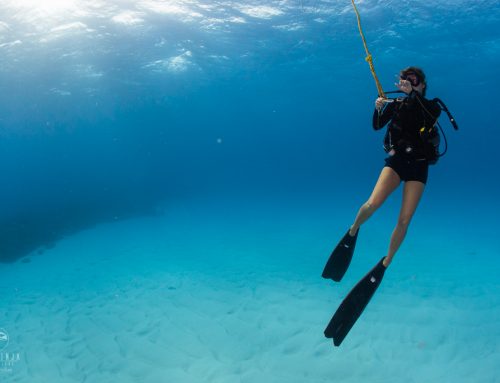 Ninja Gift Cards - share the love