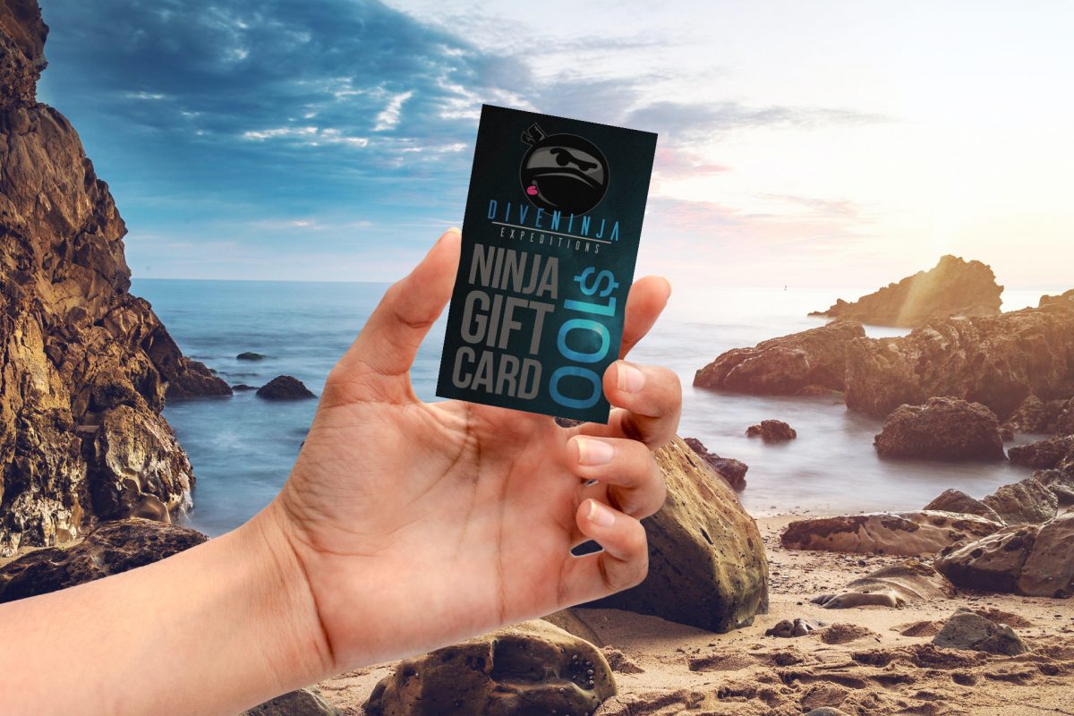 Ninja Gift Cards - share the love