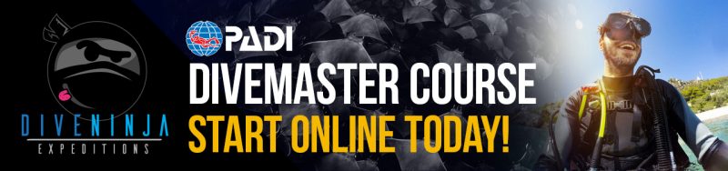 Special PADI Online Courses From Home For a Limited Time!