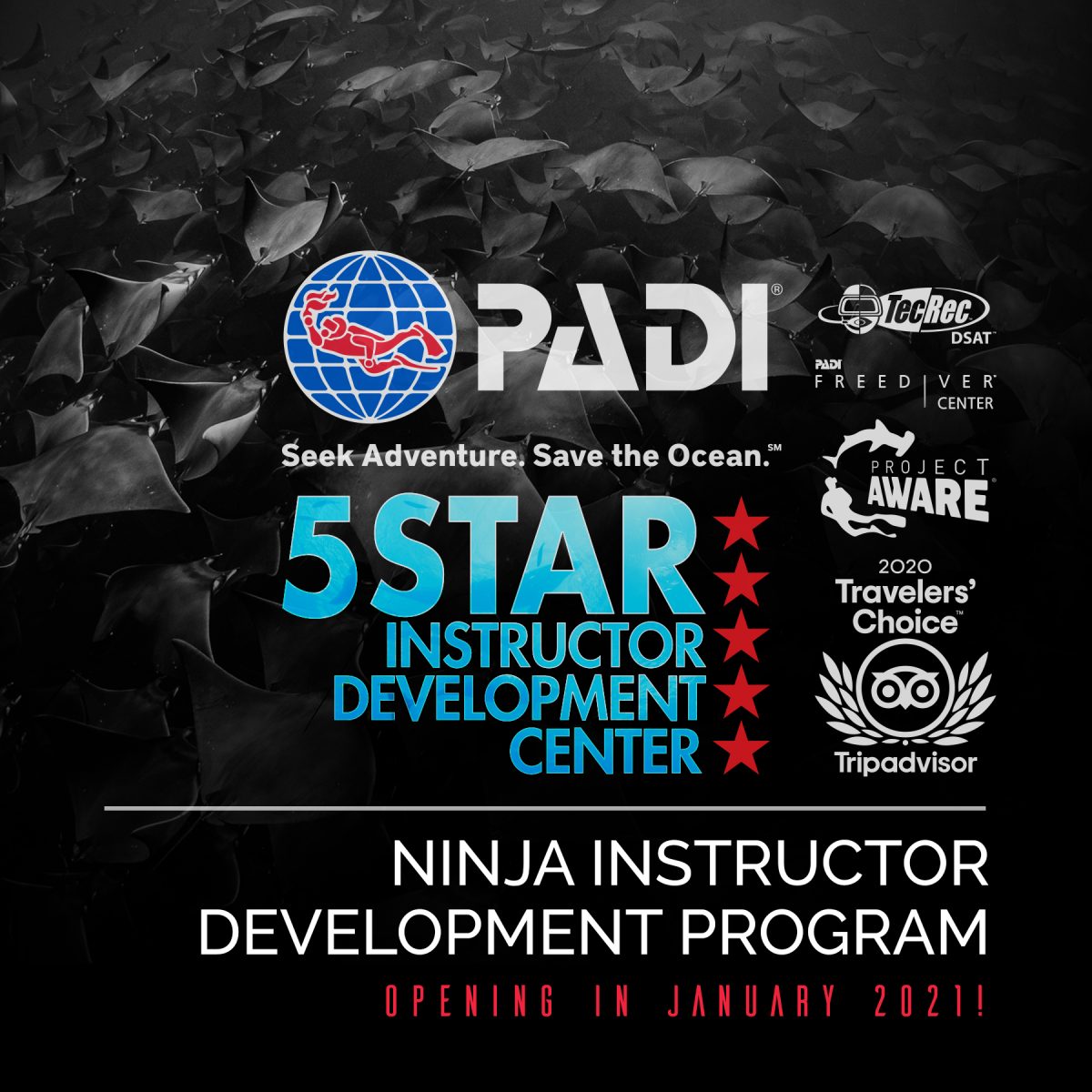 Announcing Our New PADI IDC Center in Los Cabos