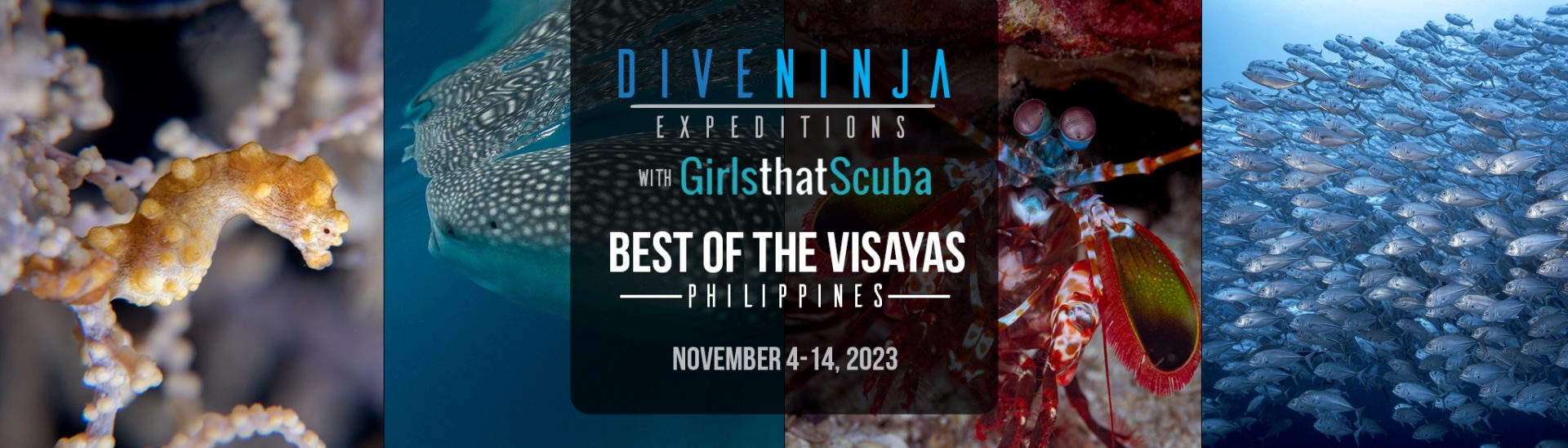 Best of the Visayas, Philippines Trip with Girls That Scuba