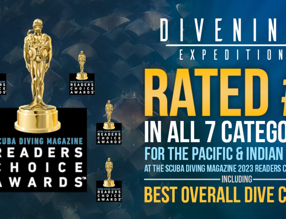 Ninja Gift Cards - share the love