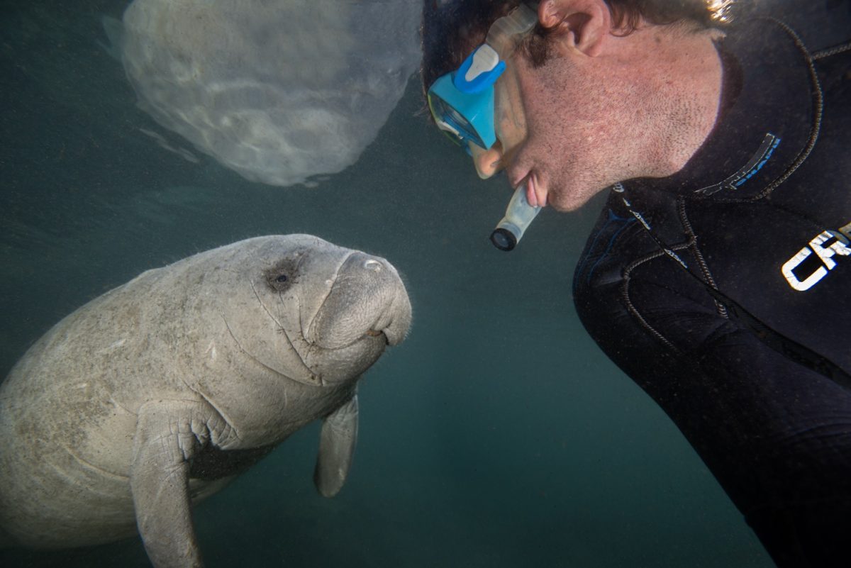 Which dives should you choose for the PADI Advanced Course?