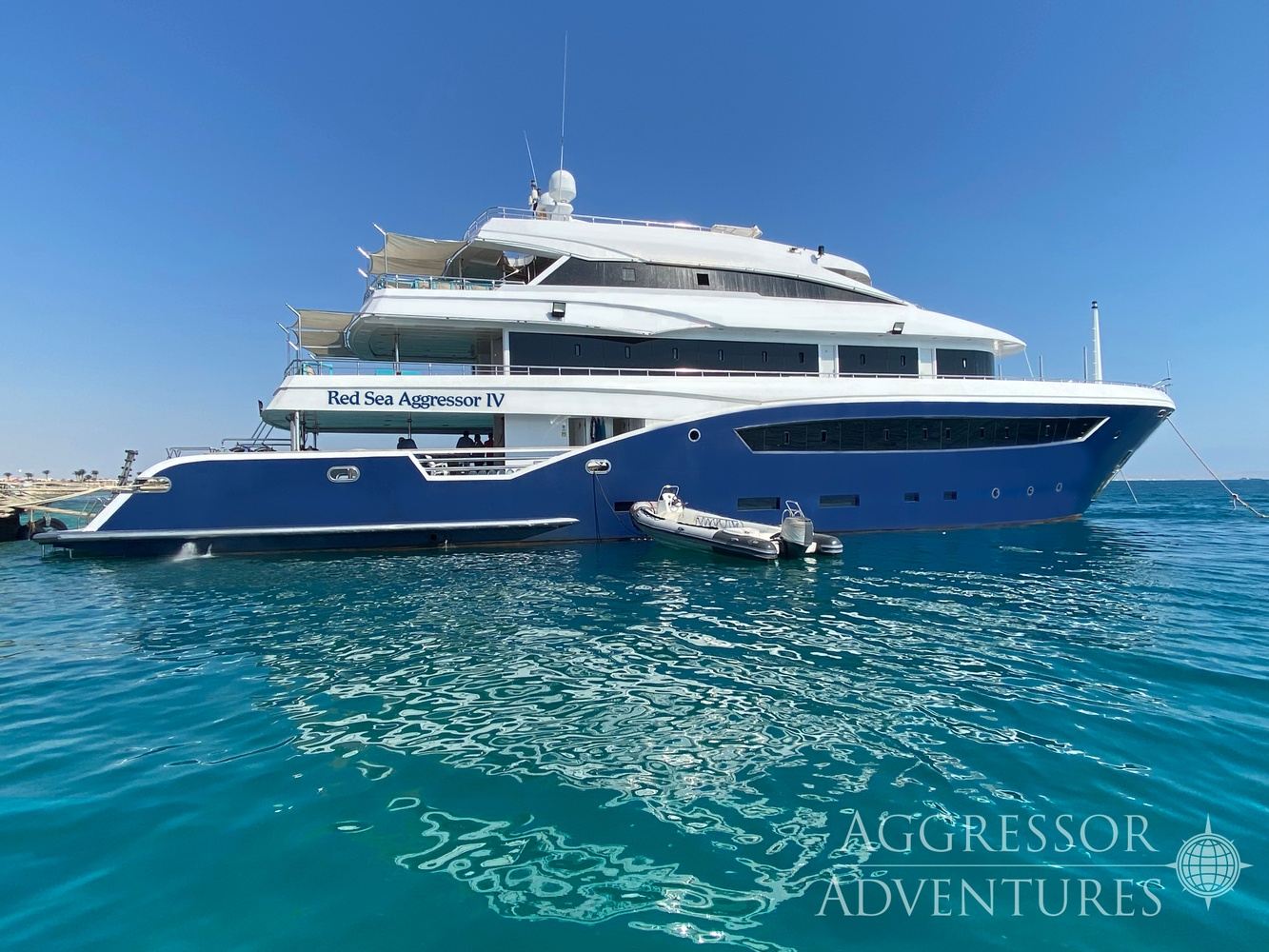 Red Sea Sharks & Reefs Liveaboard - Dive Ninja Expeditions