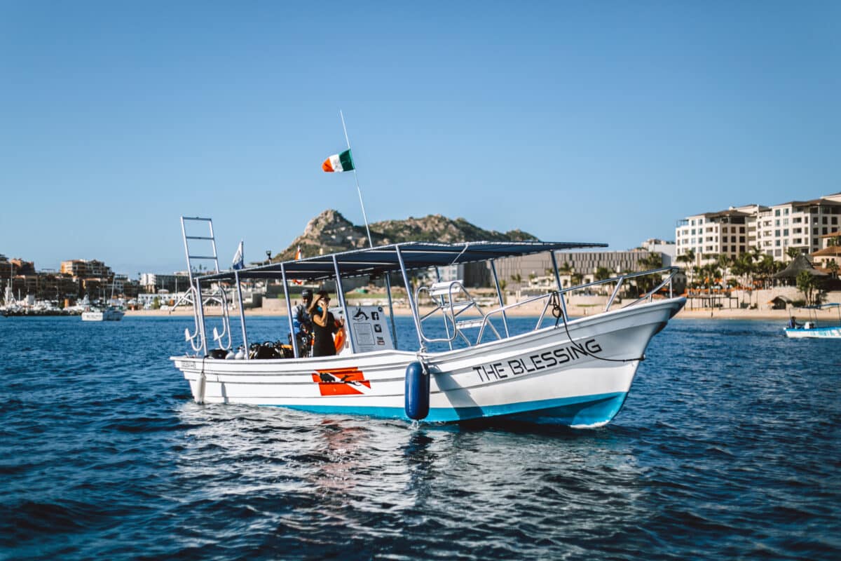 2 Tanks Dive, Cabo San Lucas Marine Park - Dive Ninja Expeditions