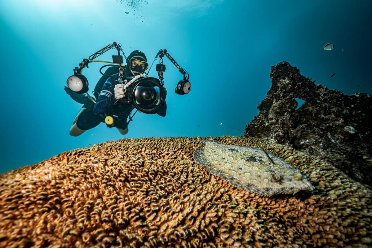 2 Tanks Dive, Cabo San Lucas Marine Park - Dive Ninja Expeditions