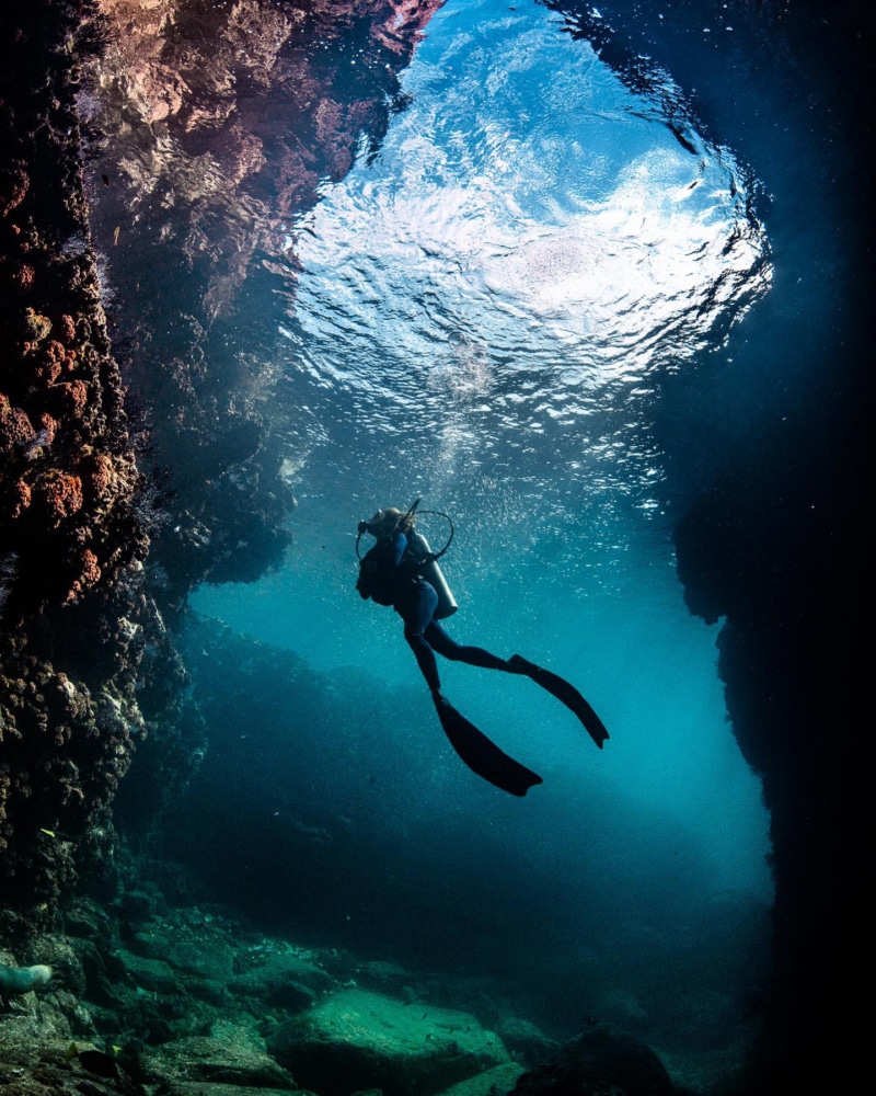 2 Tanks Dive, The Corridor of Los Cabos - Dive Ninja Expeditions