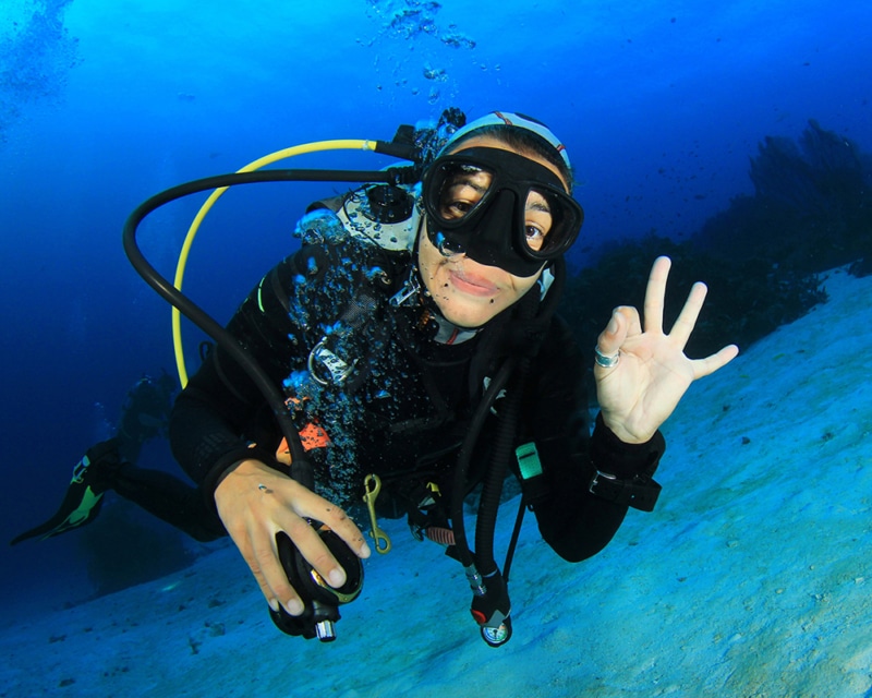 2 Tanks Dive, Gordo Banks Trip - Dive Ninja Expeditions