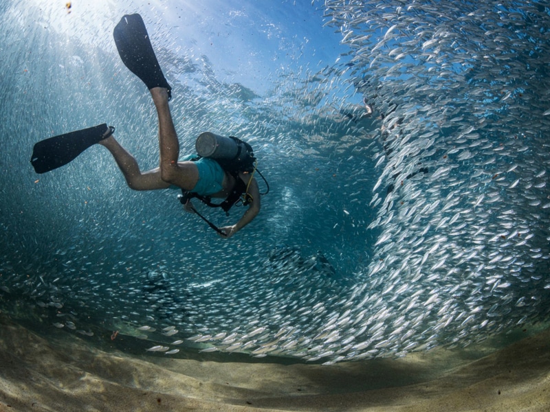 PADI Advanced Open Water Course - Dive Ninja Expeditions