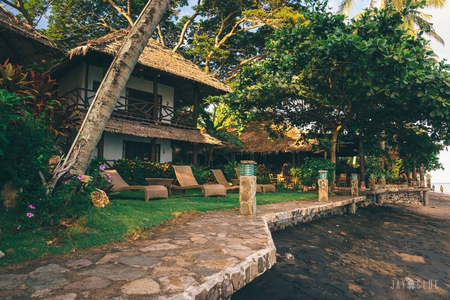 Dauin - Special Macro Trip 2026